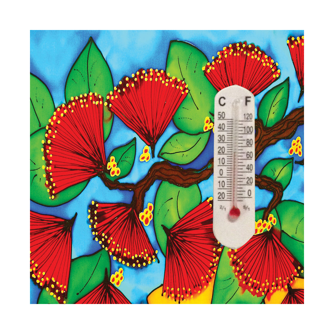 Ceramic Thermometer Magnet NZ Designs - Single – Payless Lifestyle