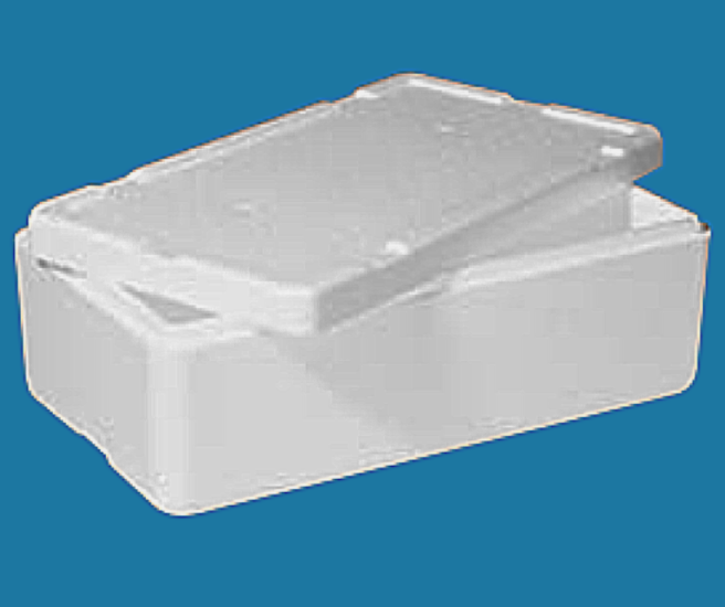 Insulated Polystyrene Boxes – Payless Lifestyle