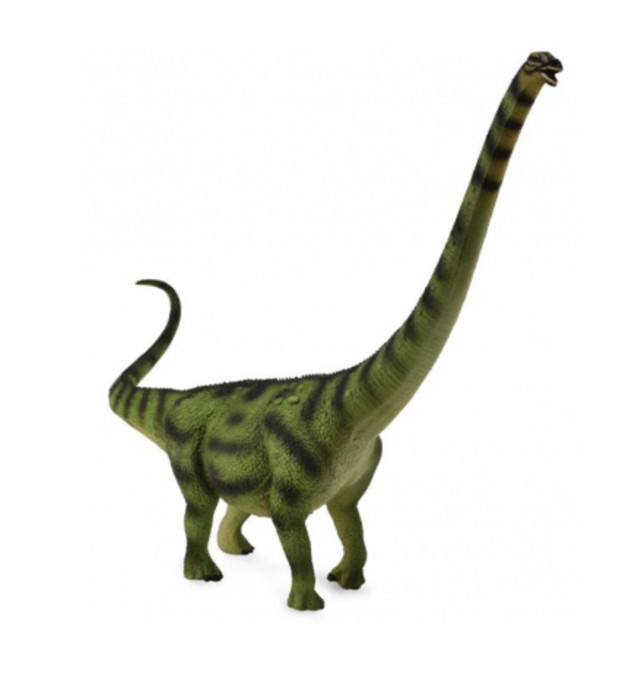 CollectA Xl Daxiatitan – Payless Lifestyle