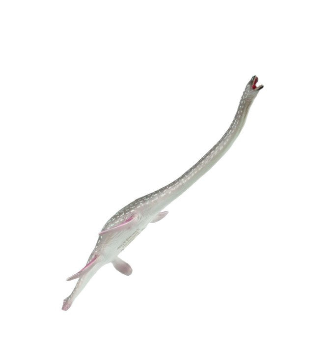CollectA Lge Elasmosaurus – Payless Lifestyle