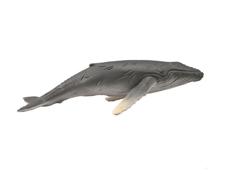 CollectA Medium Humpback Whale Calf – Payless Lifestyle