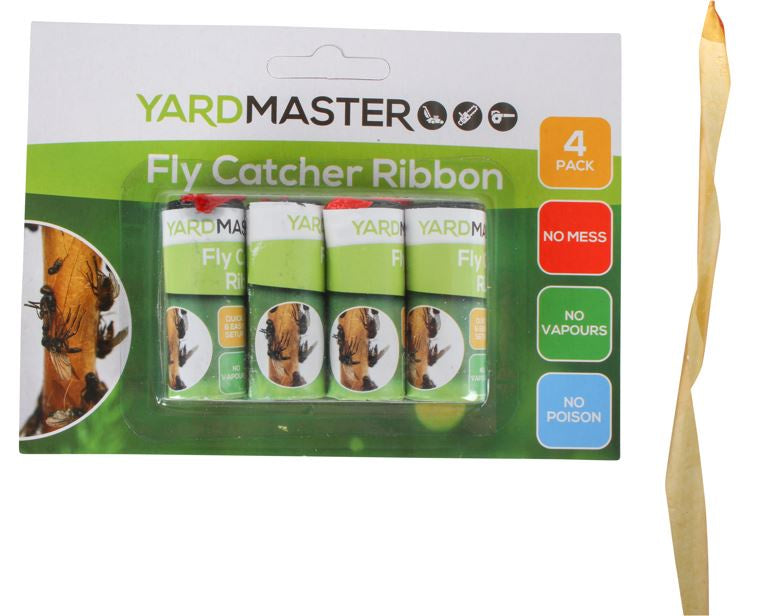 Fly Catcher Ribbon On Bcard – Payless Lifestyle